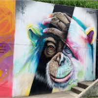 Random ponderings and calculations – Christopher's Projects